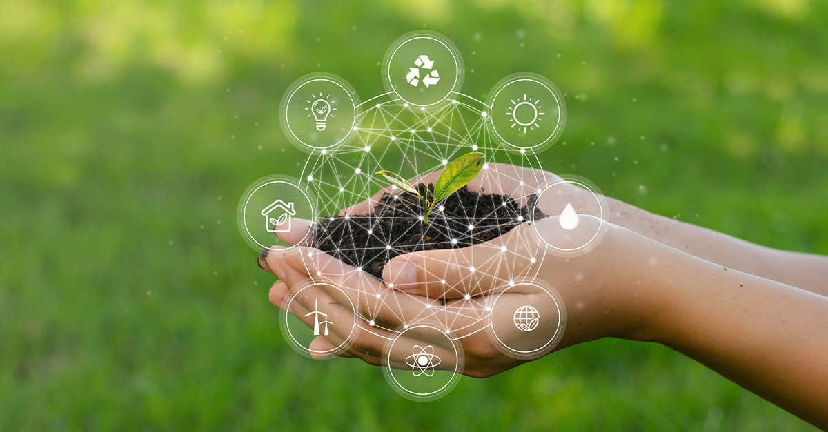 Sustainable Development Awards: Photovoltaic 3D-printed trees | Ricoh USA