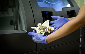 How 3D anatomic models improve patient experience | Ricoh USA